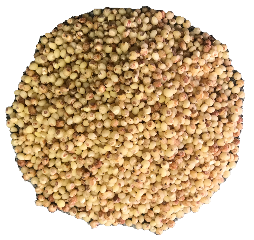 Mosutlhane – The Dairy Shoppe